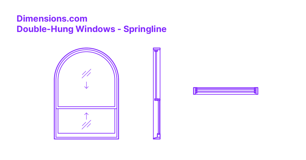 Double-Hung Windows - Springline Dimensions & Drawings | Dimensions.com