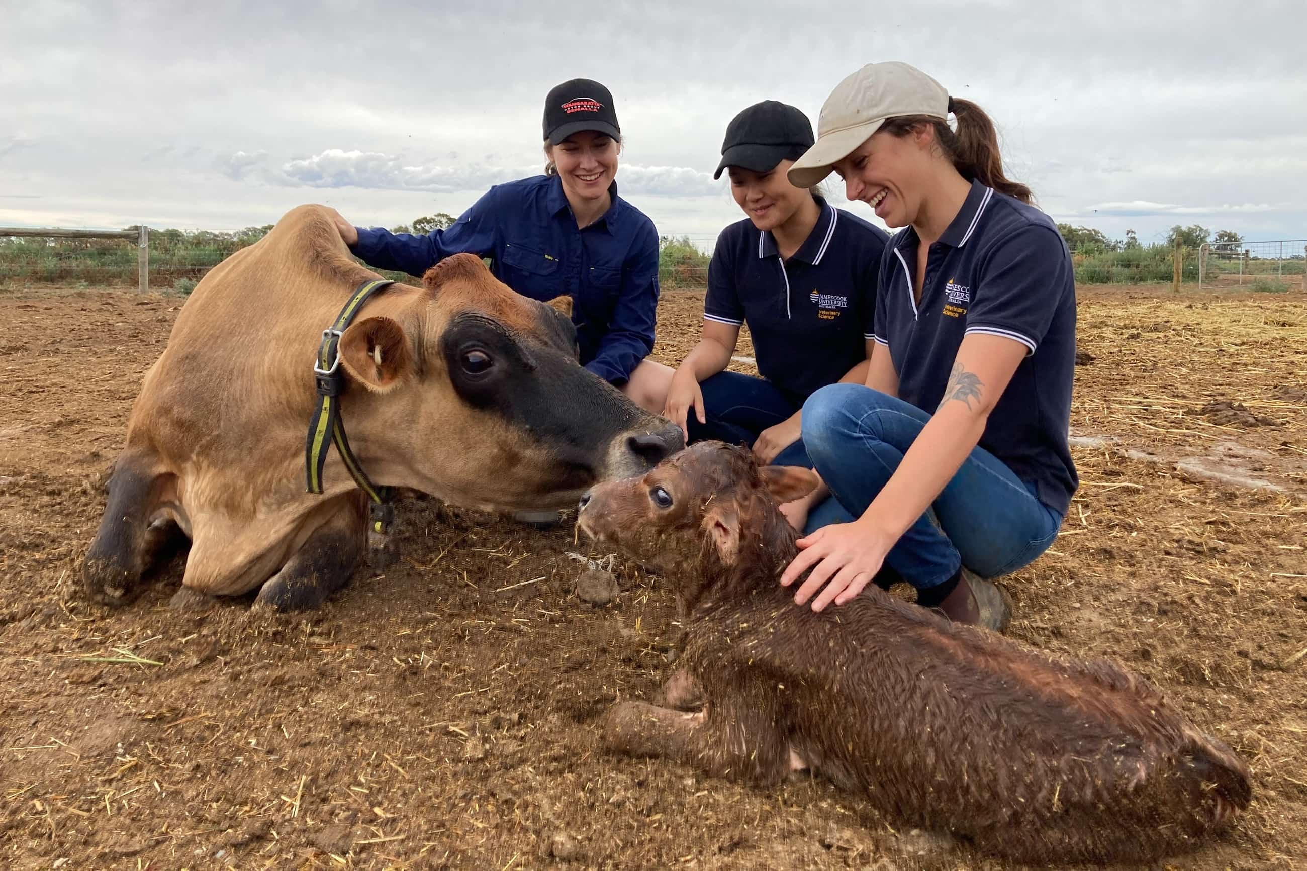Best Gelato in Australia | Gelato Messina