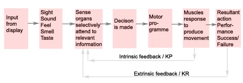 Information Processing Theory
