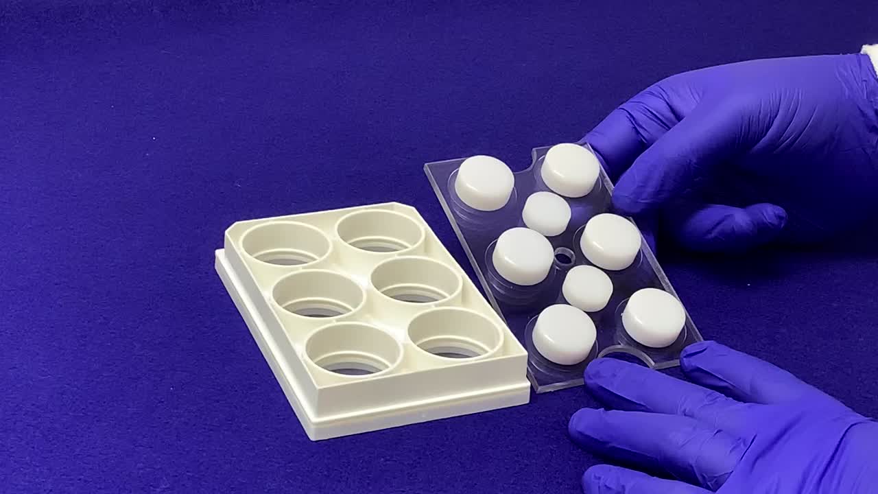 Cell Stretching Bioreactors | Flexcell International