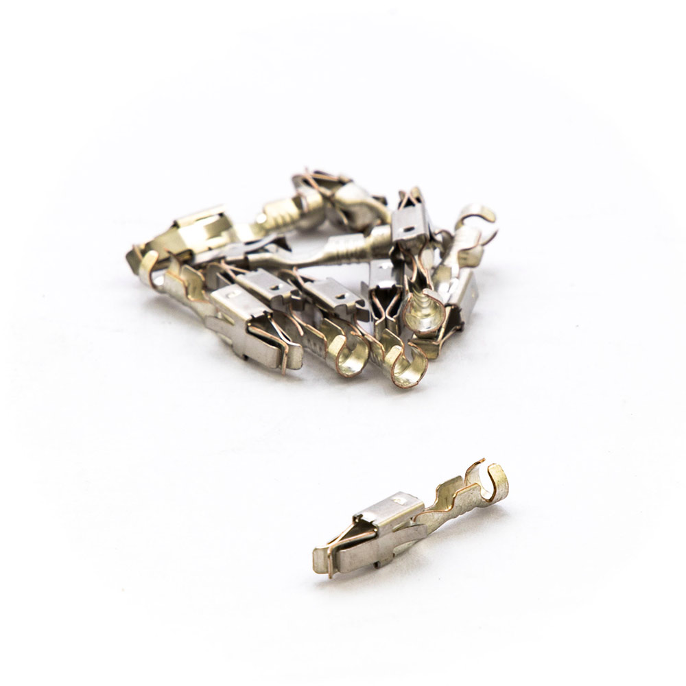 Sentinel Systems | Iveco Bodybuilder Plug