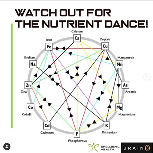 Watch Out For The Nutrient Dance! - Boost Your Biology