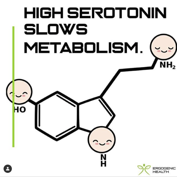 High Serotonin Slows Metabolism. - Boost Your Biology
