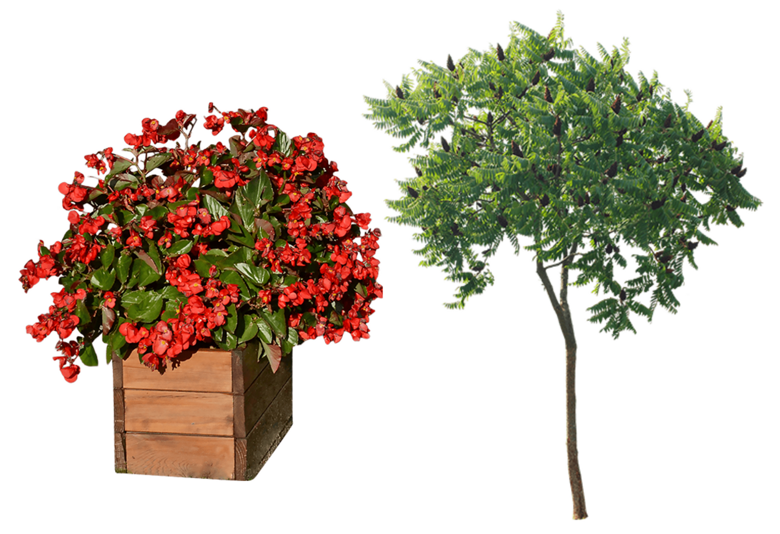 iScape for Landscape Design: Flower Islands Inspiring Ideas