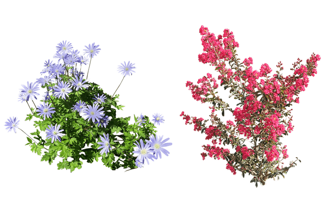 iScape for Landscape Design: Flower Islands Inspiring Ideas