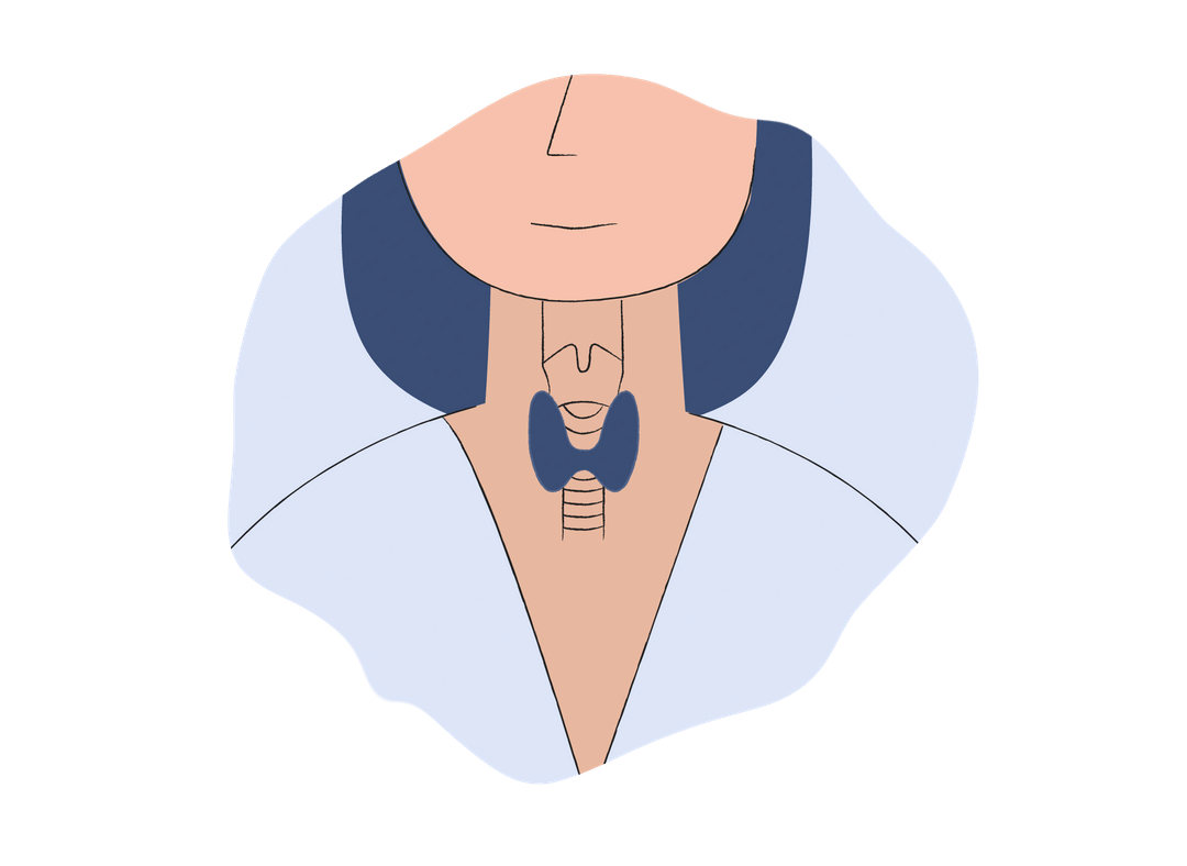 The Most Complete At Home Thyroid test | Paloma Health