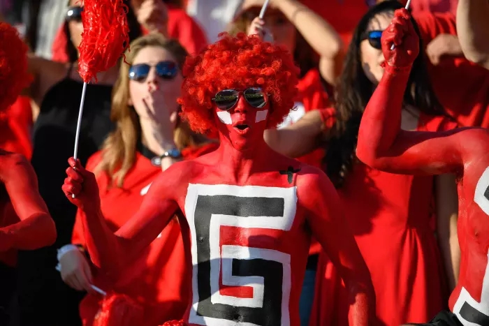 The Ultimate Chicago Guide for Sports Fans