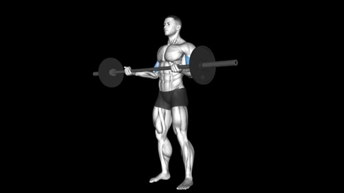Wide Grip Barbell Curl – How To Video, Alternatives & More