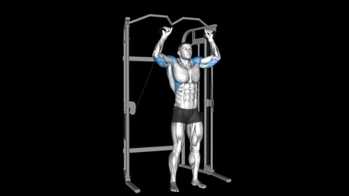 Cable Shoulder Press – How To Video, Alternatives & More
