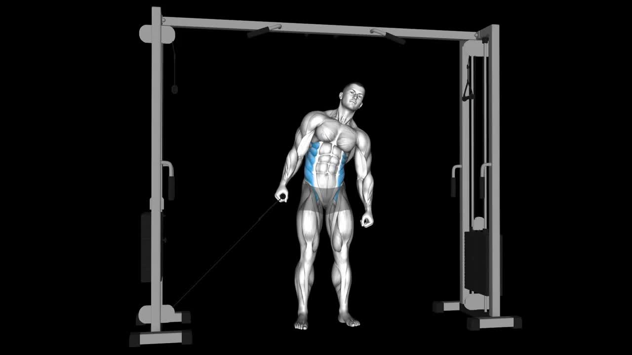 Side Plank – How To Video, Alternatives & More