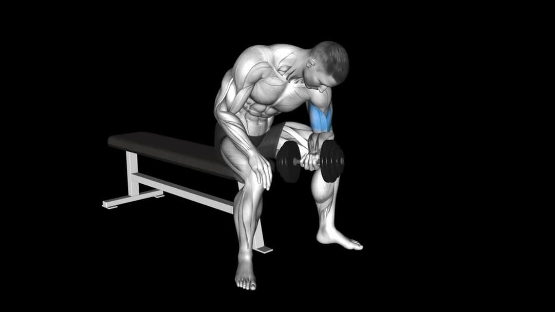Dumbbell Concentration Curl – How To Video, Alternatives & More