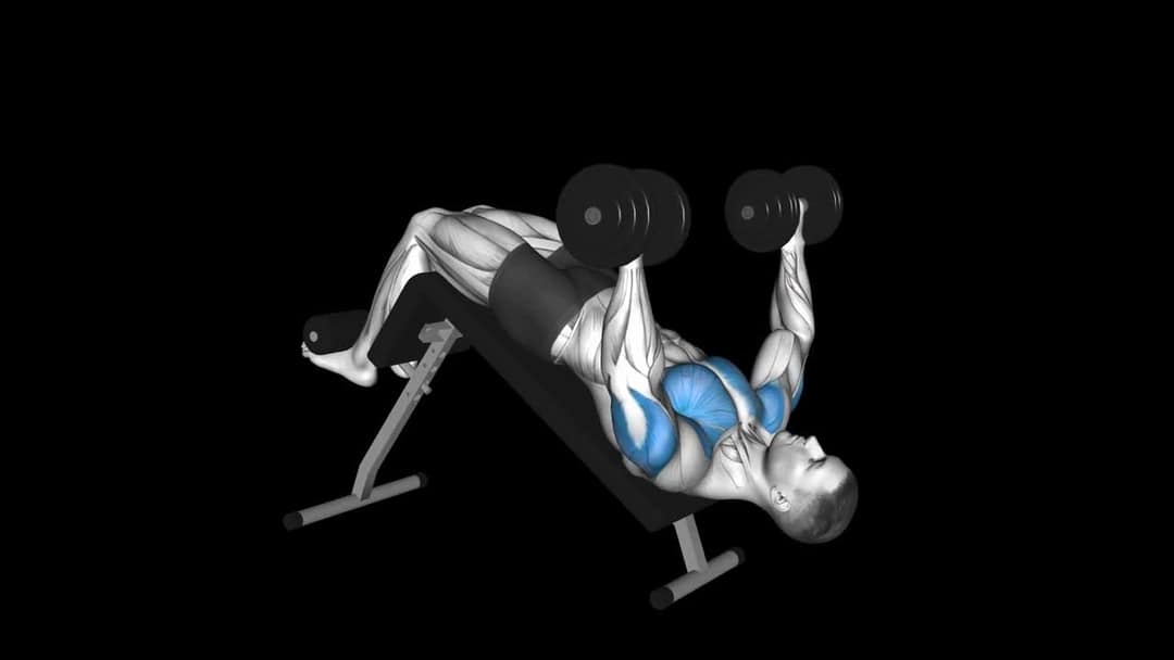 Decline Dumbbell Bench Press – How To Video, Alternatives & More