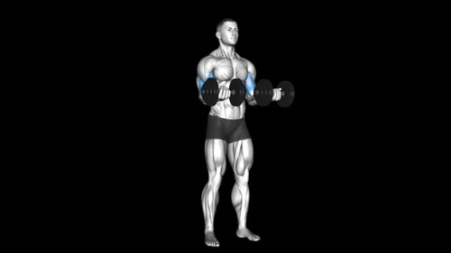 Cross Body Hammer Curl – How To Video, Alternatives & More