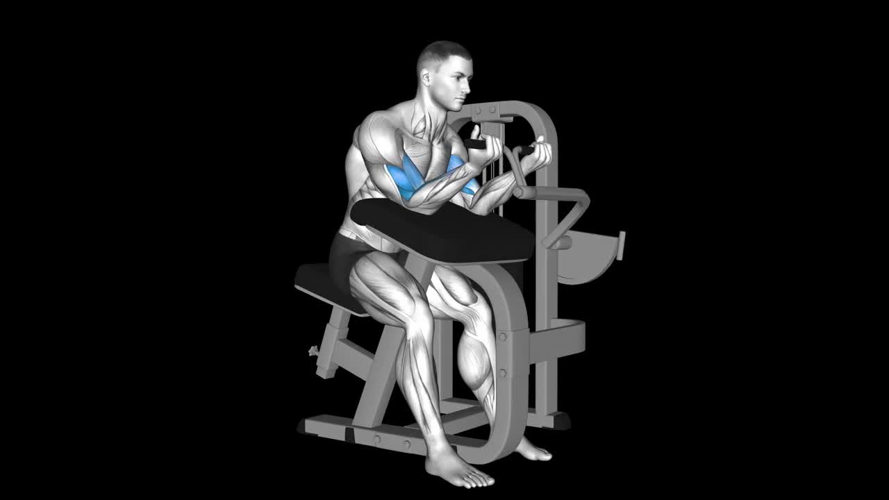 Preacher Curl Machine – How To Video, Alternatives & More