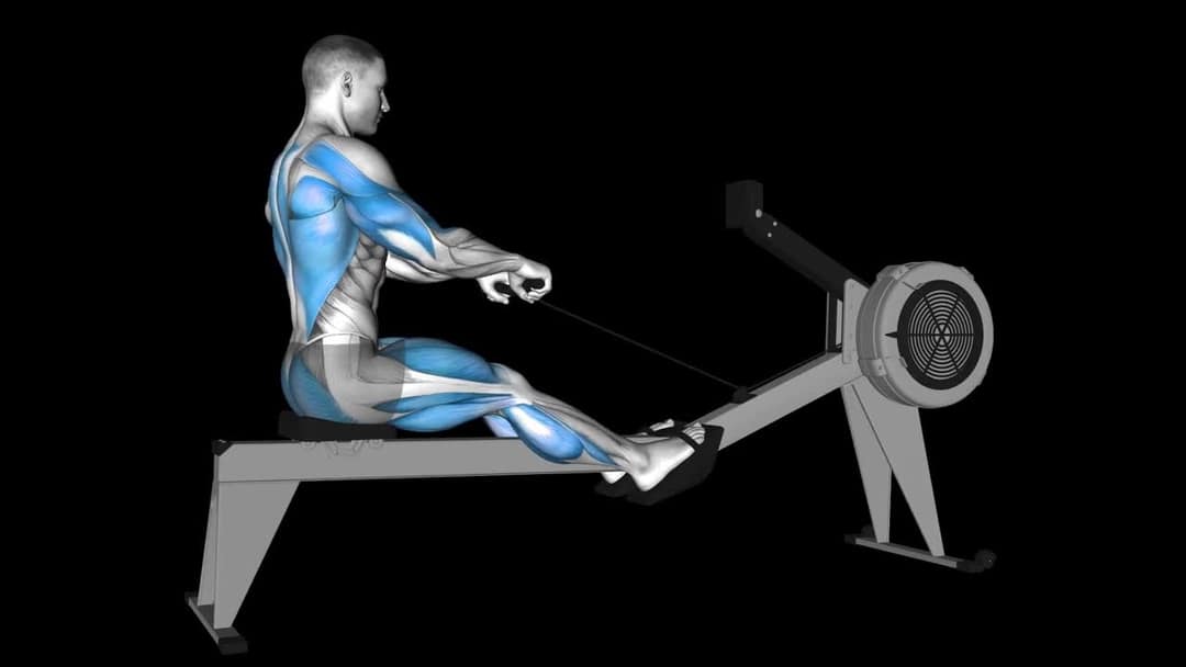 Leg Press Machine – How To Video, Alternatives & More