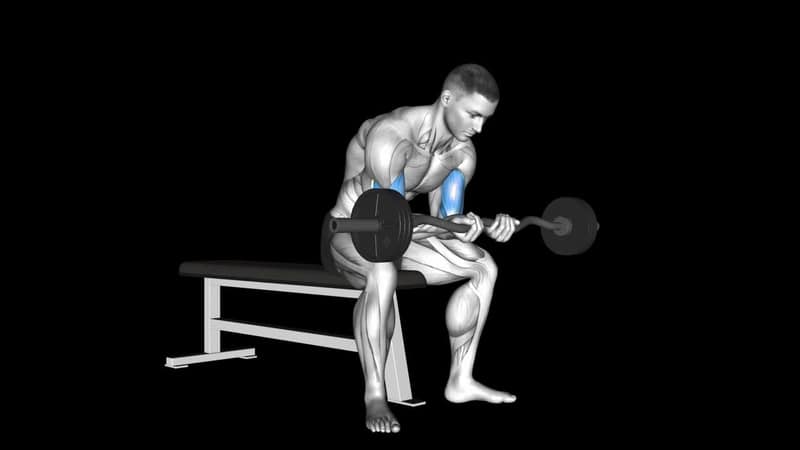 Dumbbell Concentration Curl – How To Video, Alternatives & More