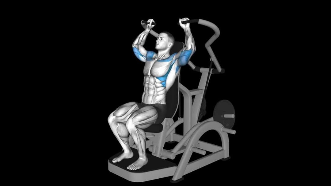 Cable Shoulder Press – How To Video, Alternatives & More