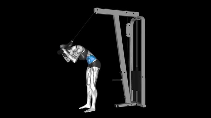 Stability Ball Crunch – How To Video, Alternatives & More