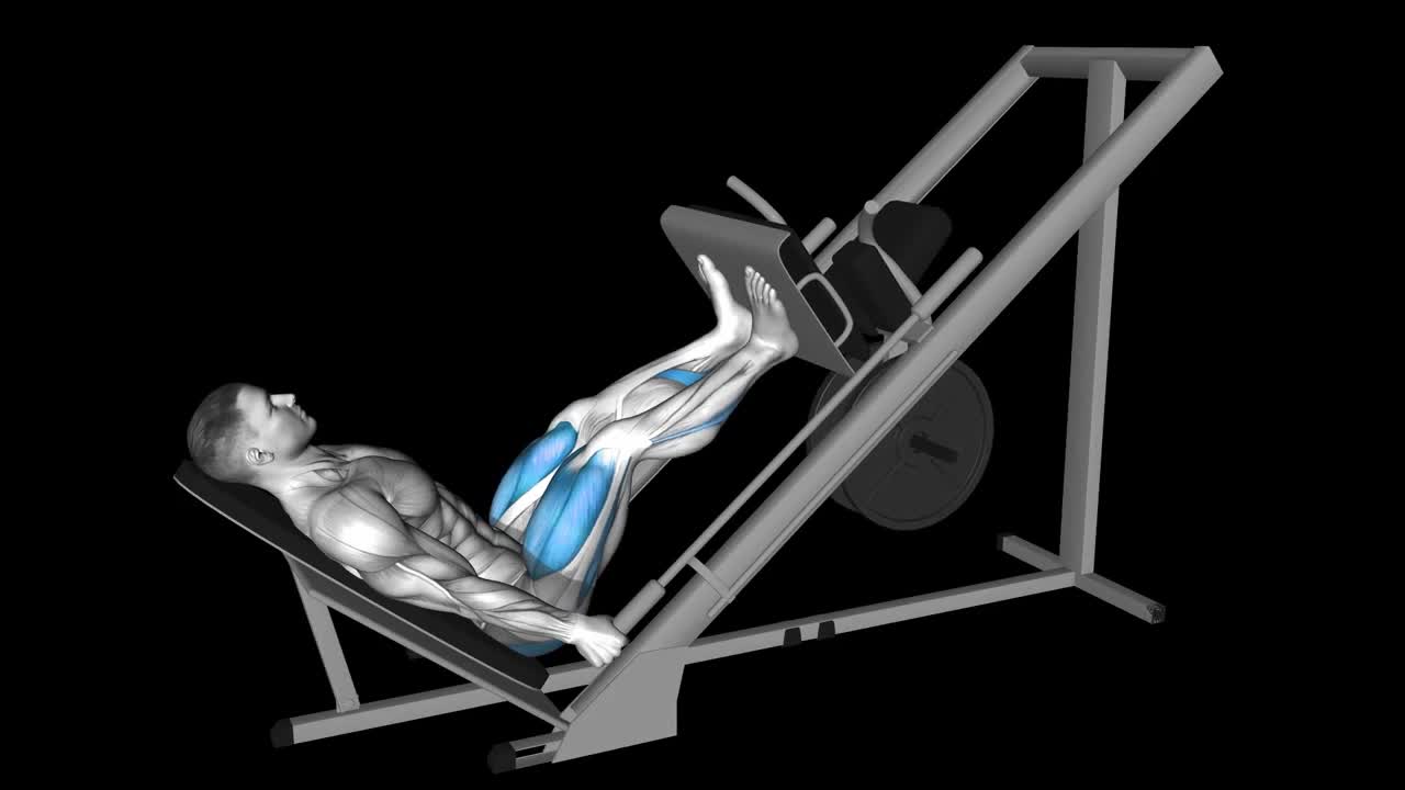 Leg Press Machine – How To Video, Alternatives & More