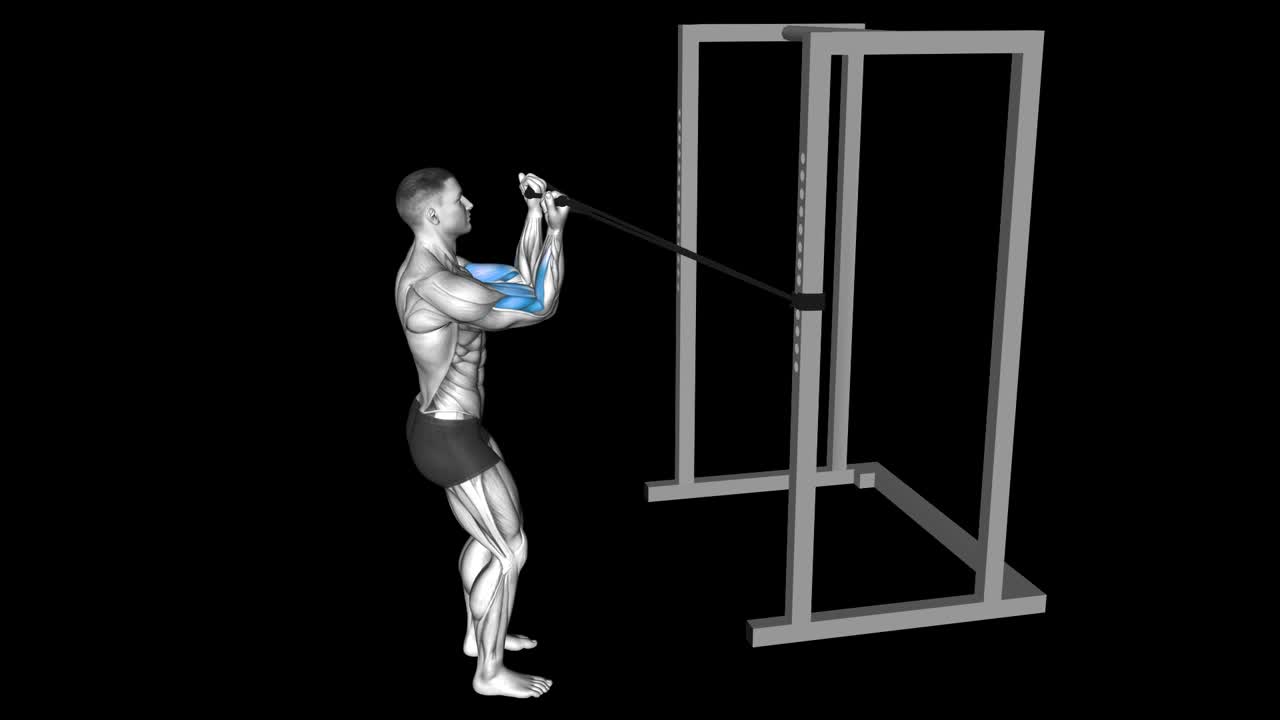 Preacher Curl Machine – How To Video, Alternatives & More