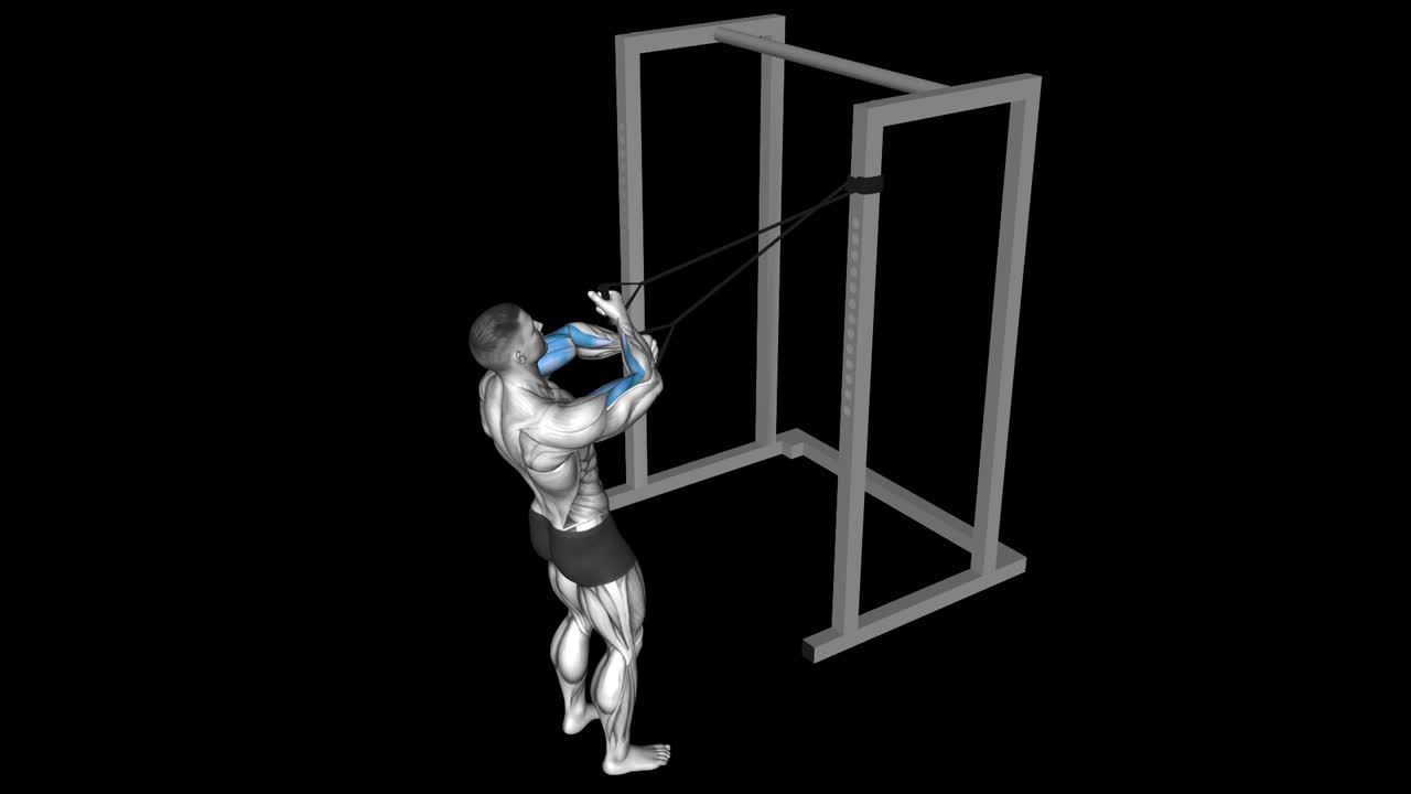 Band Cross Chest Curl – How To Video, Alternatives & More