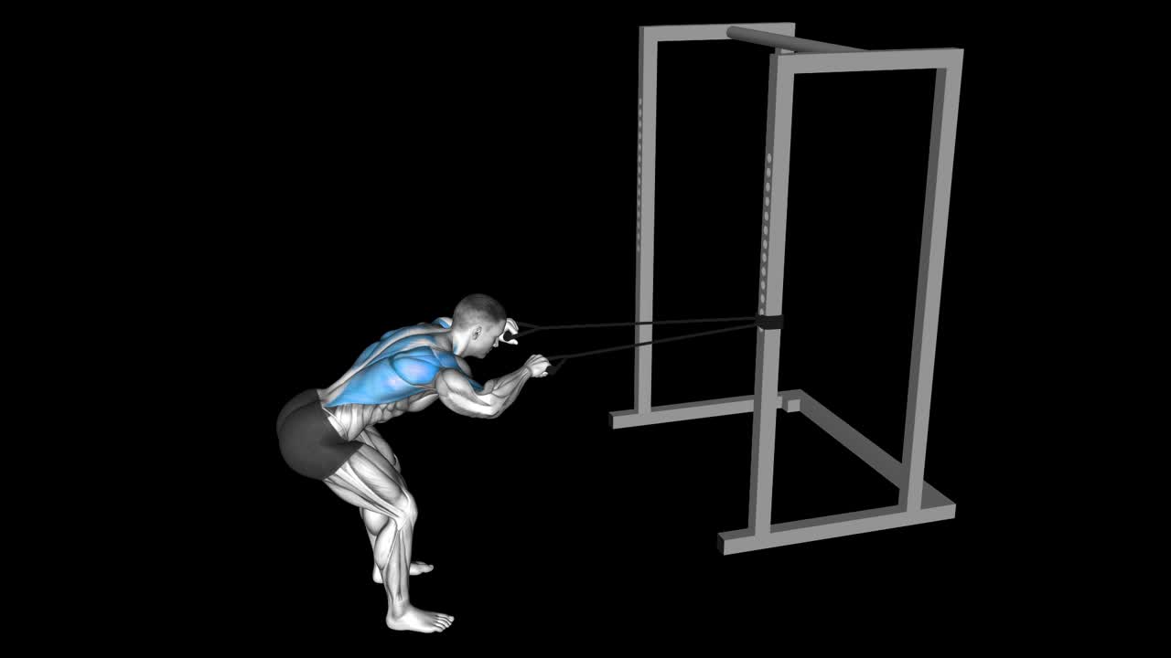 Reverse Grip Bent Over Row
