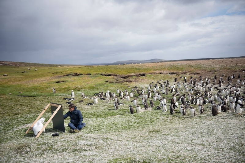 Life Journey | Roger Fishman, Artist & Adventurer