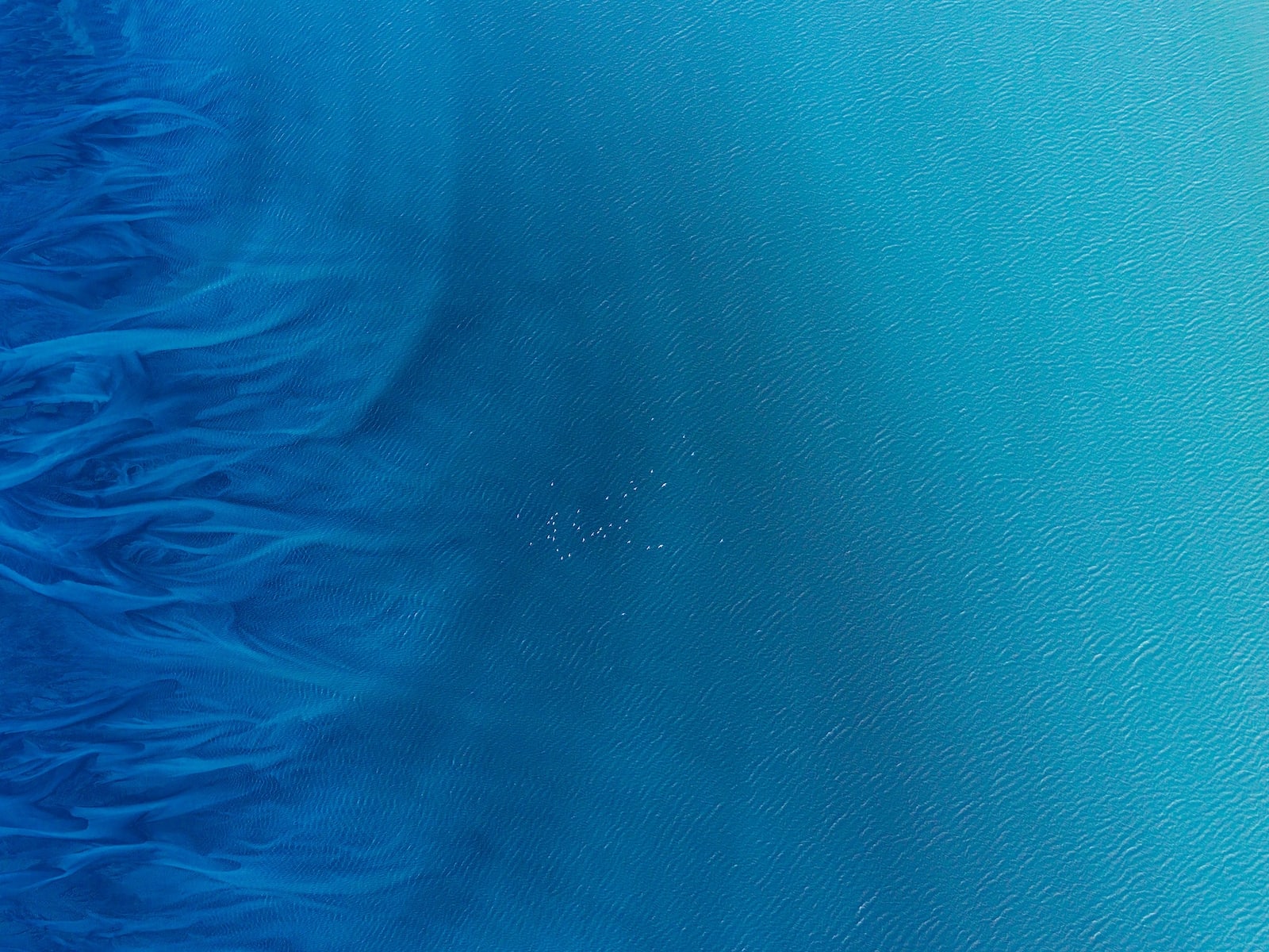 Roger Fishman | Artist & Adventurer