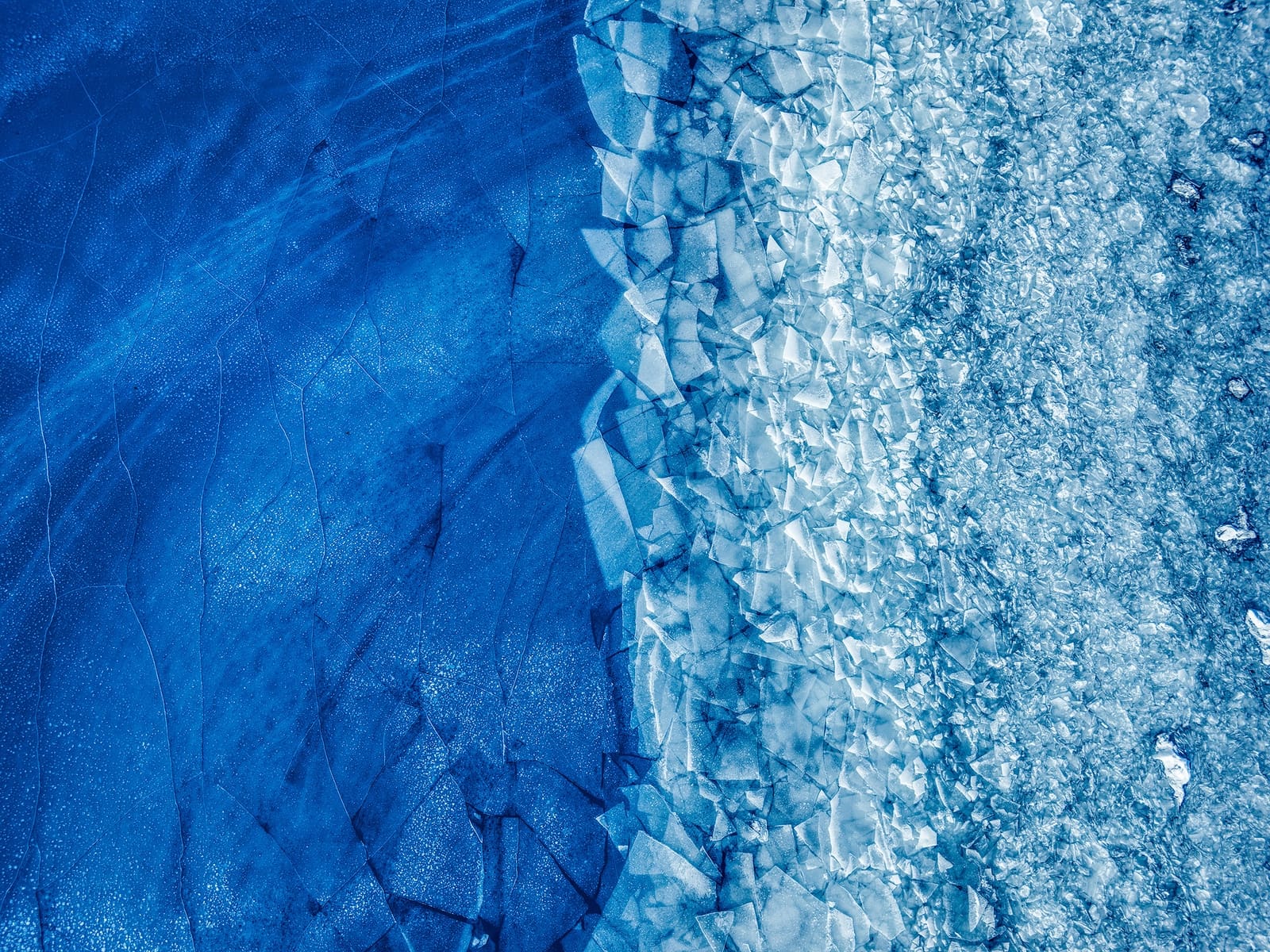 Roger Fishman | Artist & Adventurer