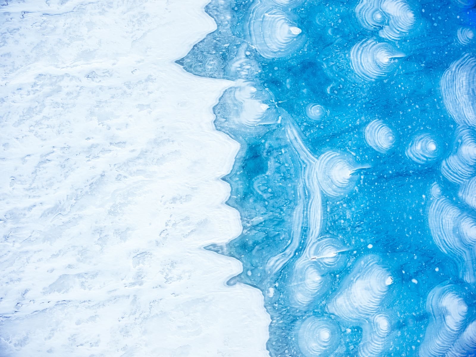 Roger Fishman | Artist & Adventurer