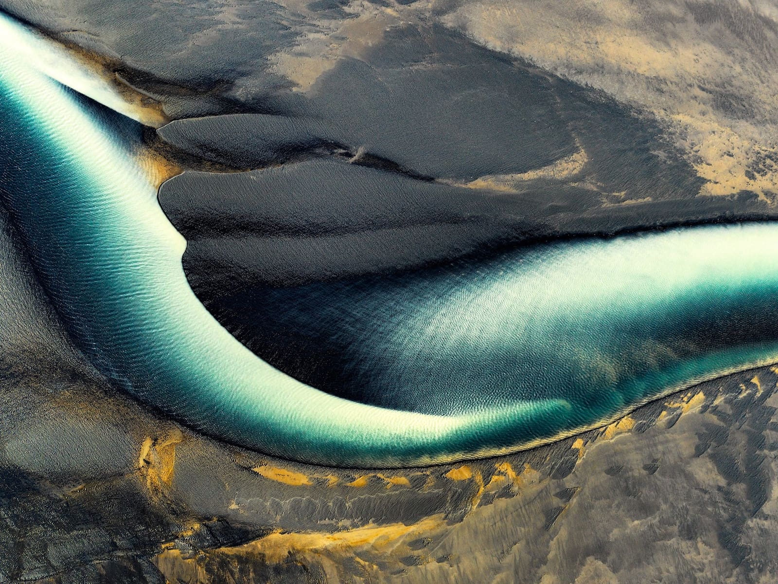 Roger Fishman | Artist & Adventurer