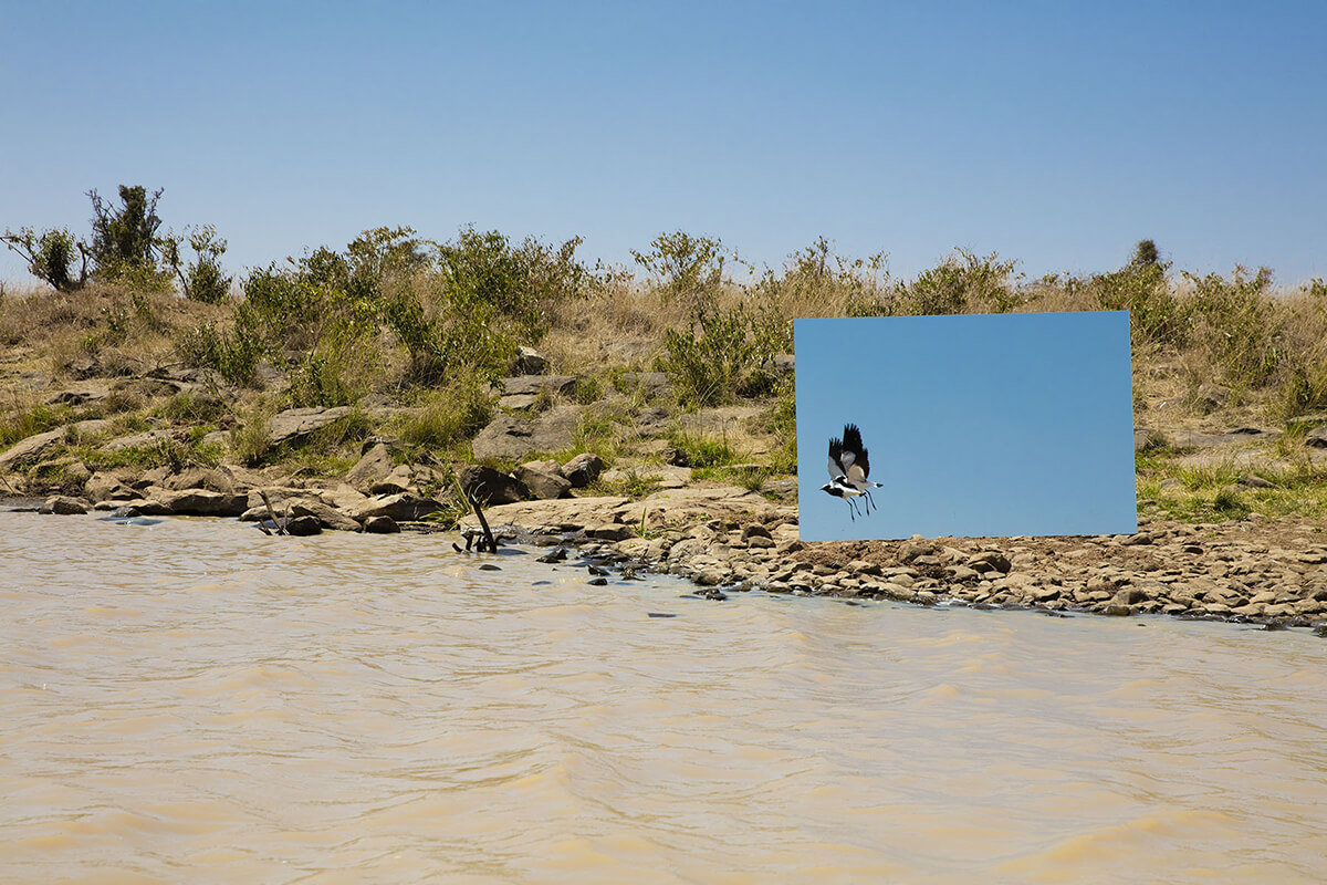 The Mirror Project | Roger Fishman, Artist & Adventurer