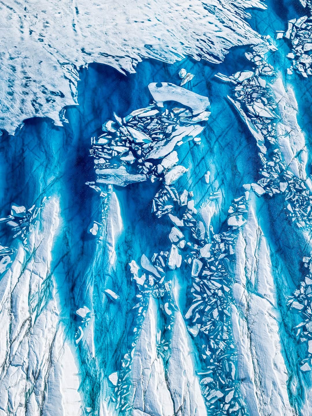 Blog | Roger Fishman, Artist & Adventurer