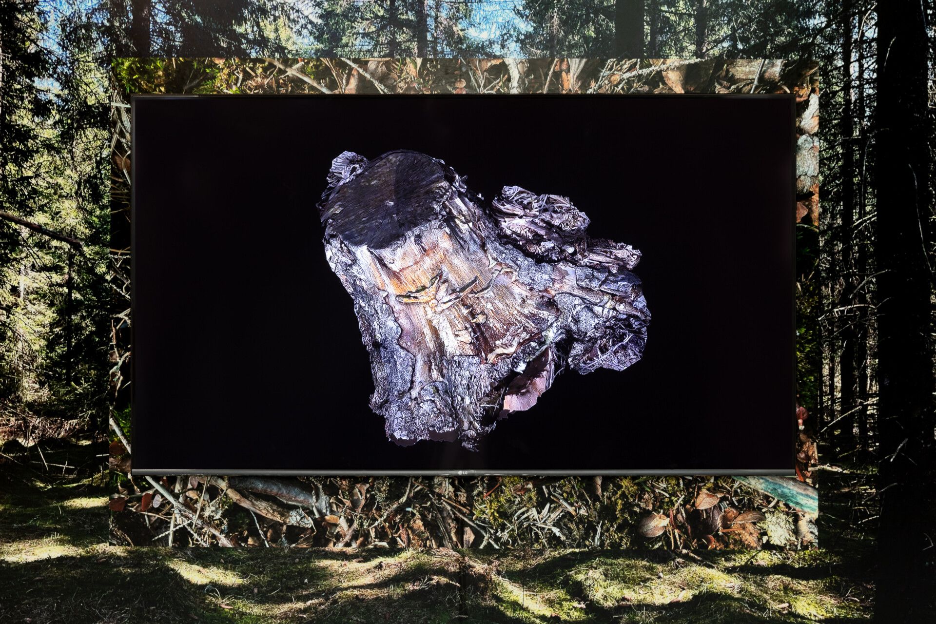 Artist talk med Jessica Williams - Oslo Fotokunstskole