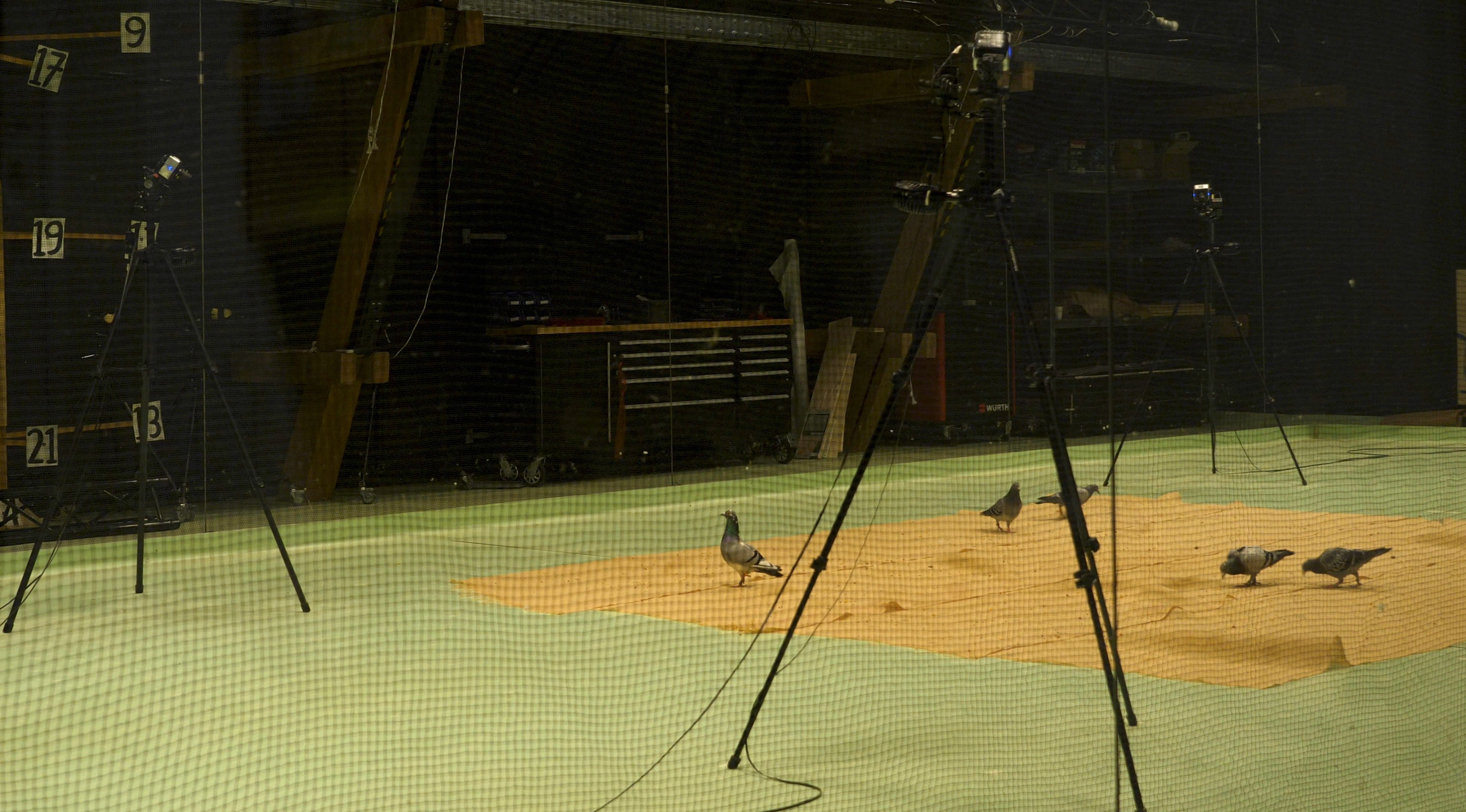 Bli kjent med: Helene Sommer