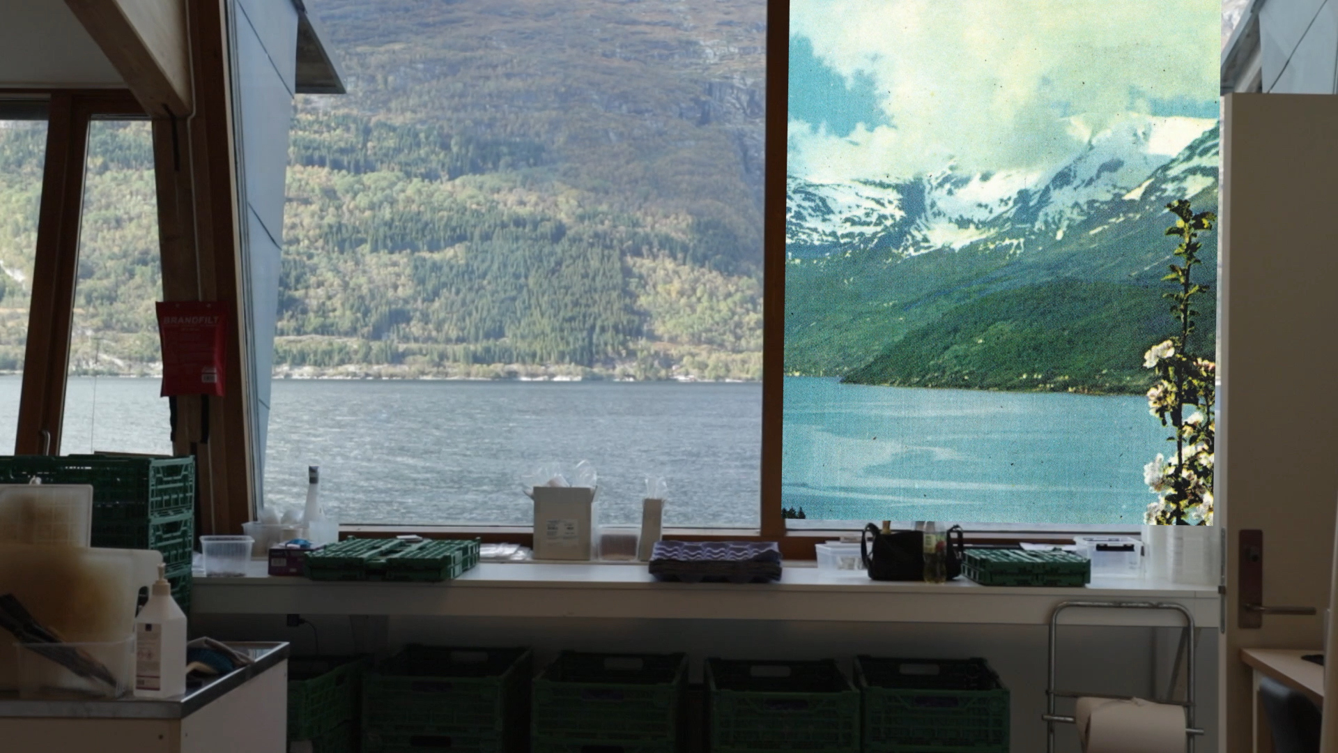 Bli kjent med: Helene Sommer