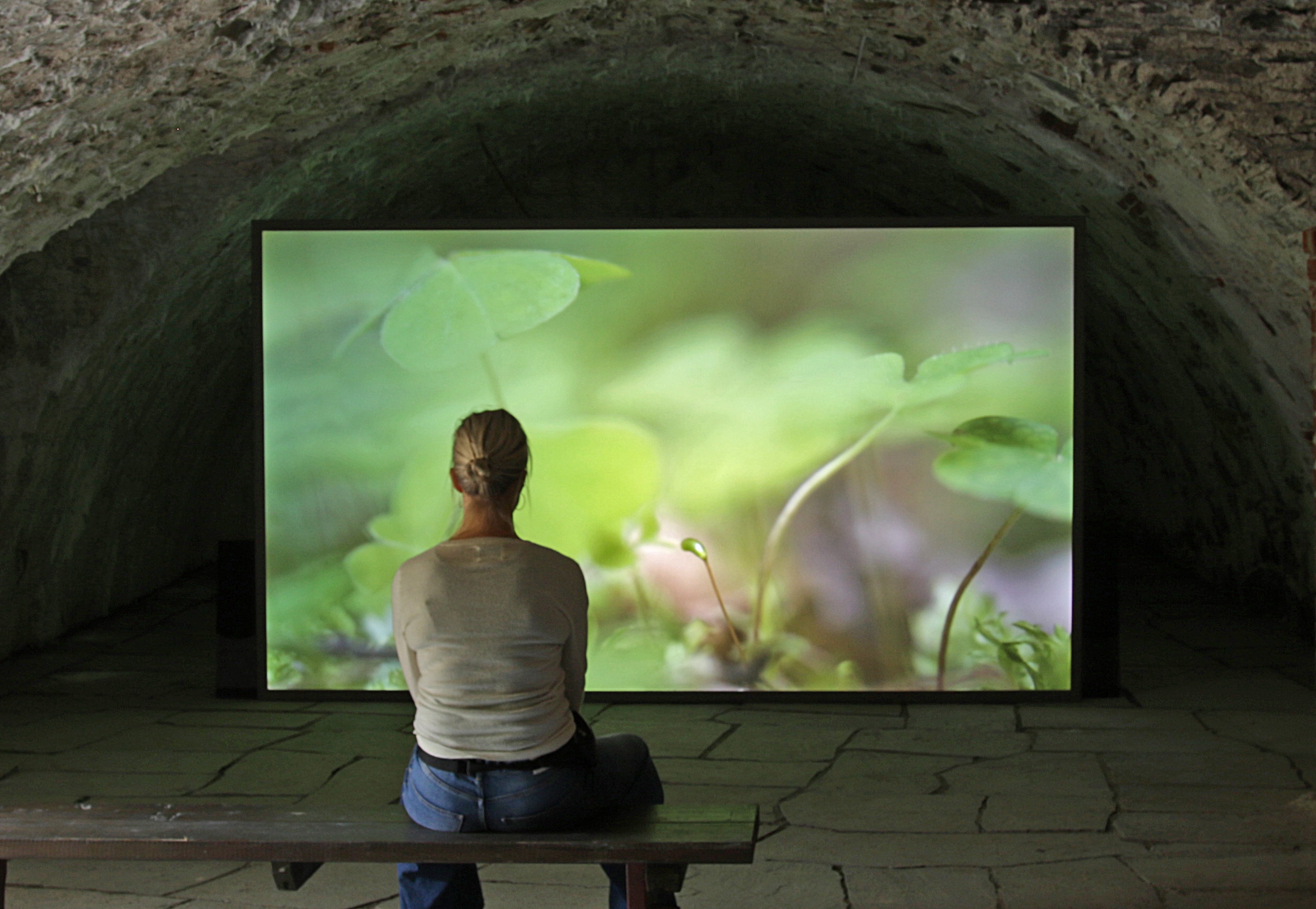 Bli kjent med: Helene Sommer