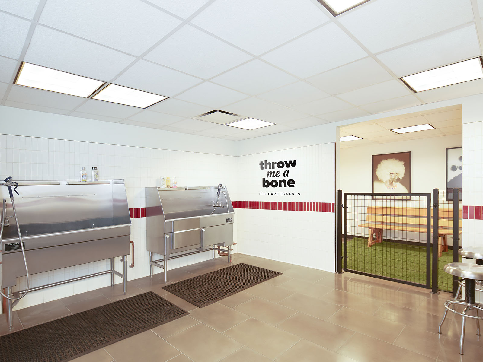 Throw Me A Bone | Locations