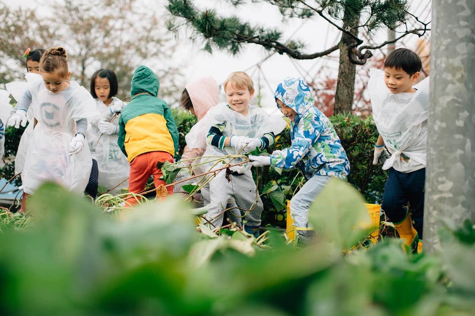 The American School in Japan - Tokyo’s Leading International School