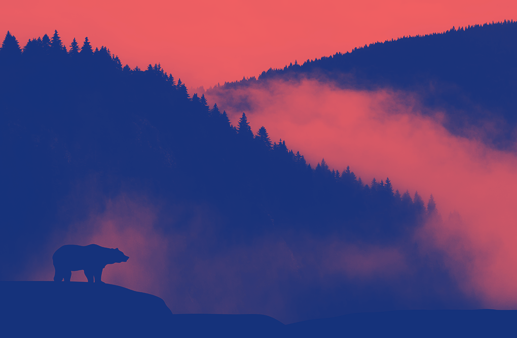 Portfolio Intelligence | SEI Novus