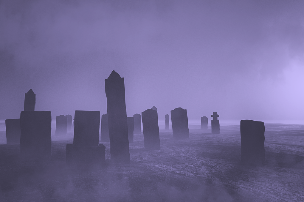 Portfolio Intelligence | SEI Novus