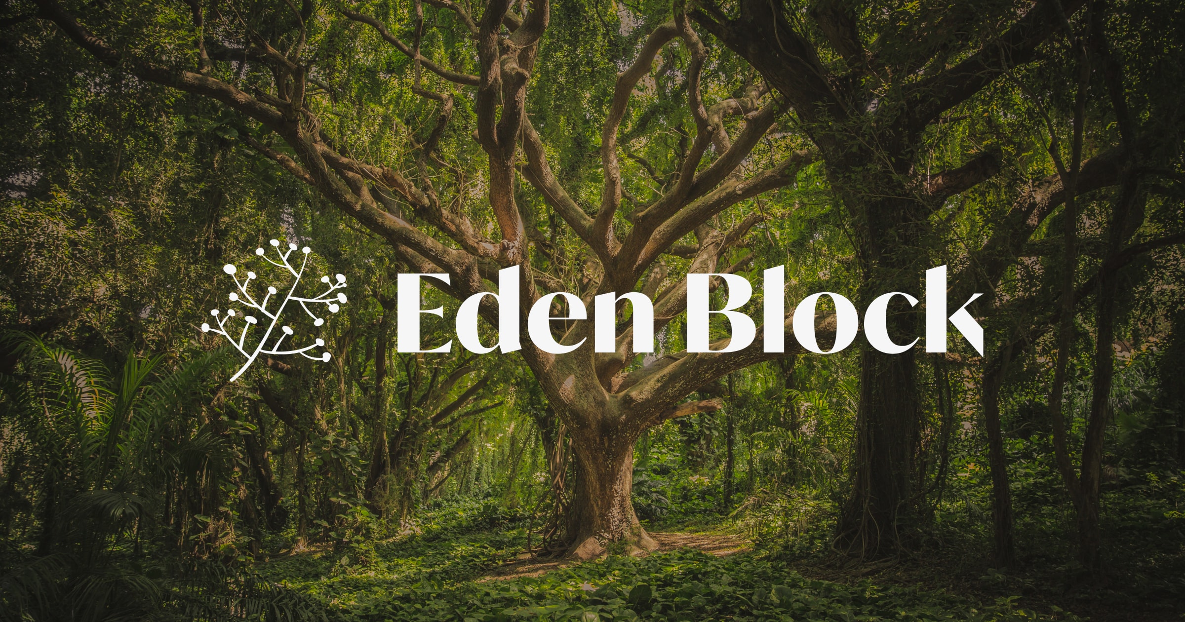 Eden Block – Blockchain Venture Capital