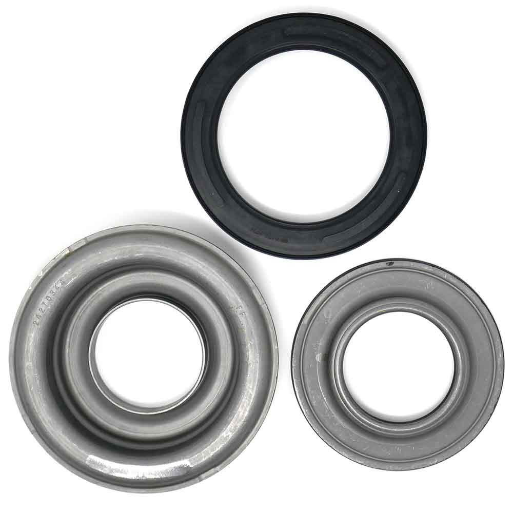 Raybestos Powertrain