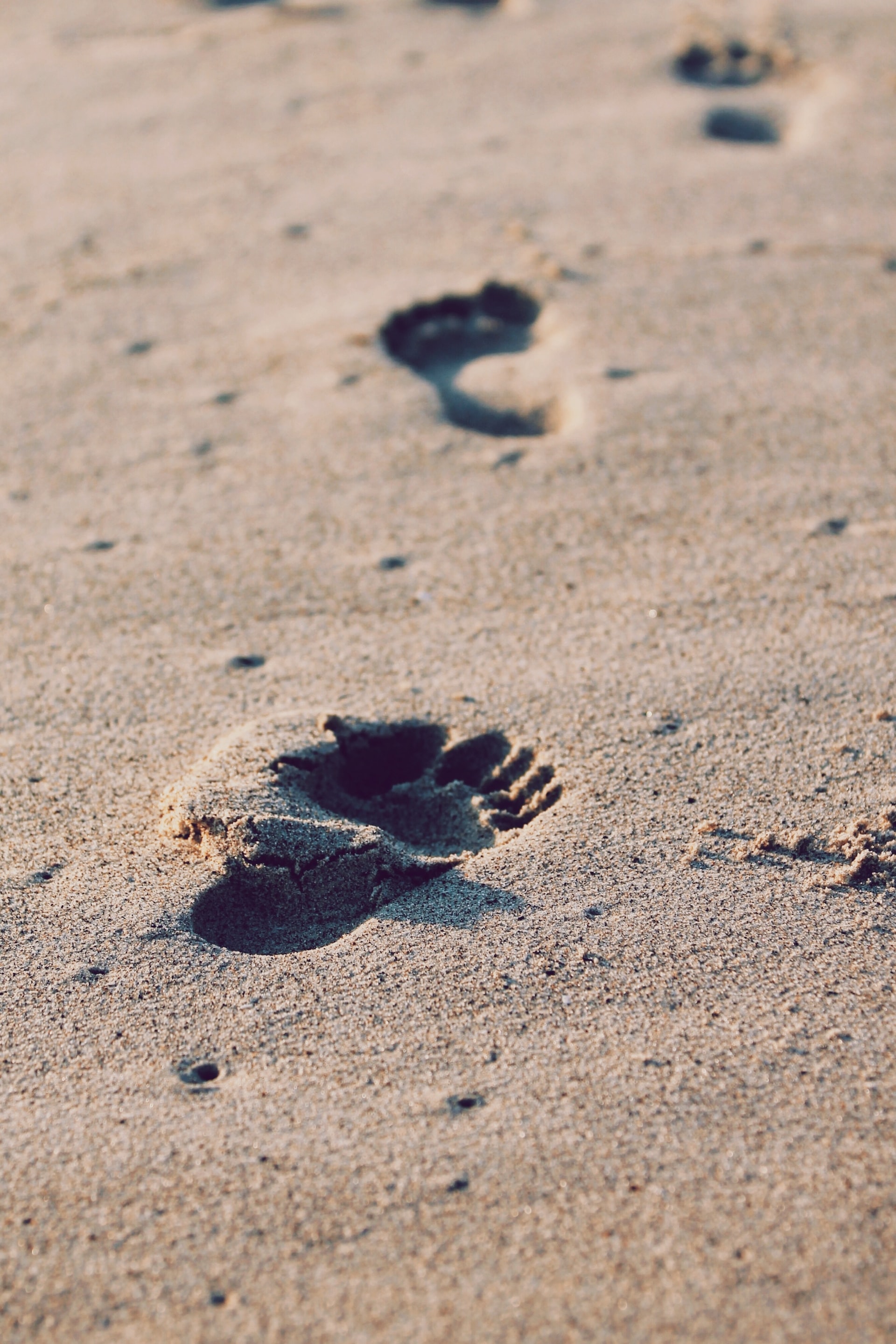 Genuine Steps Certificate in the FCFCOA (Family Law)