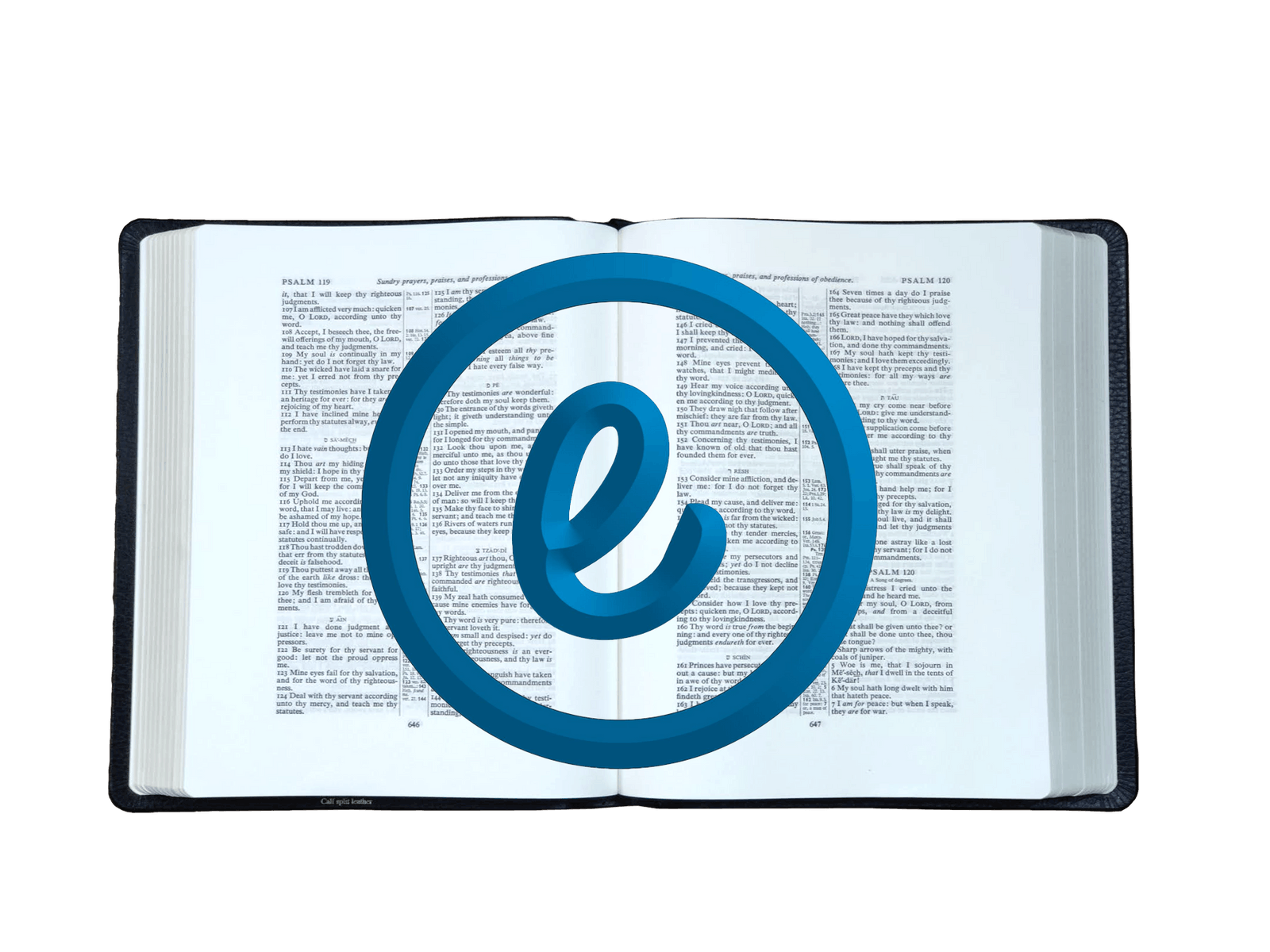 www.ebiblefellowship.org