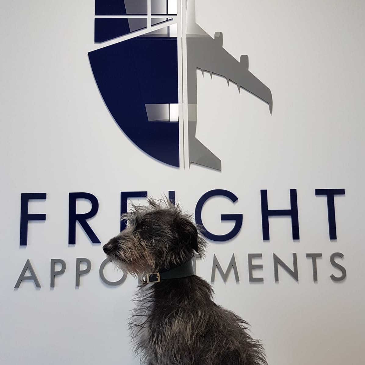 Meet The Freight Appointments Team