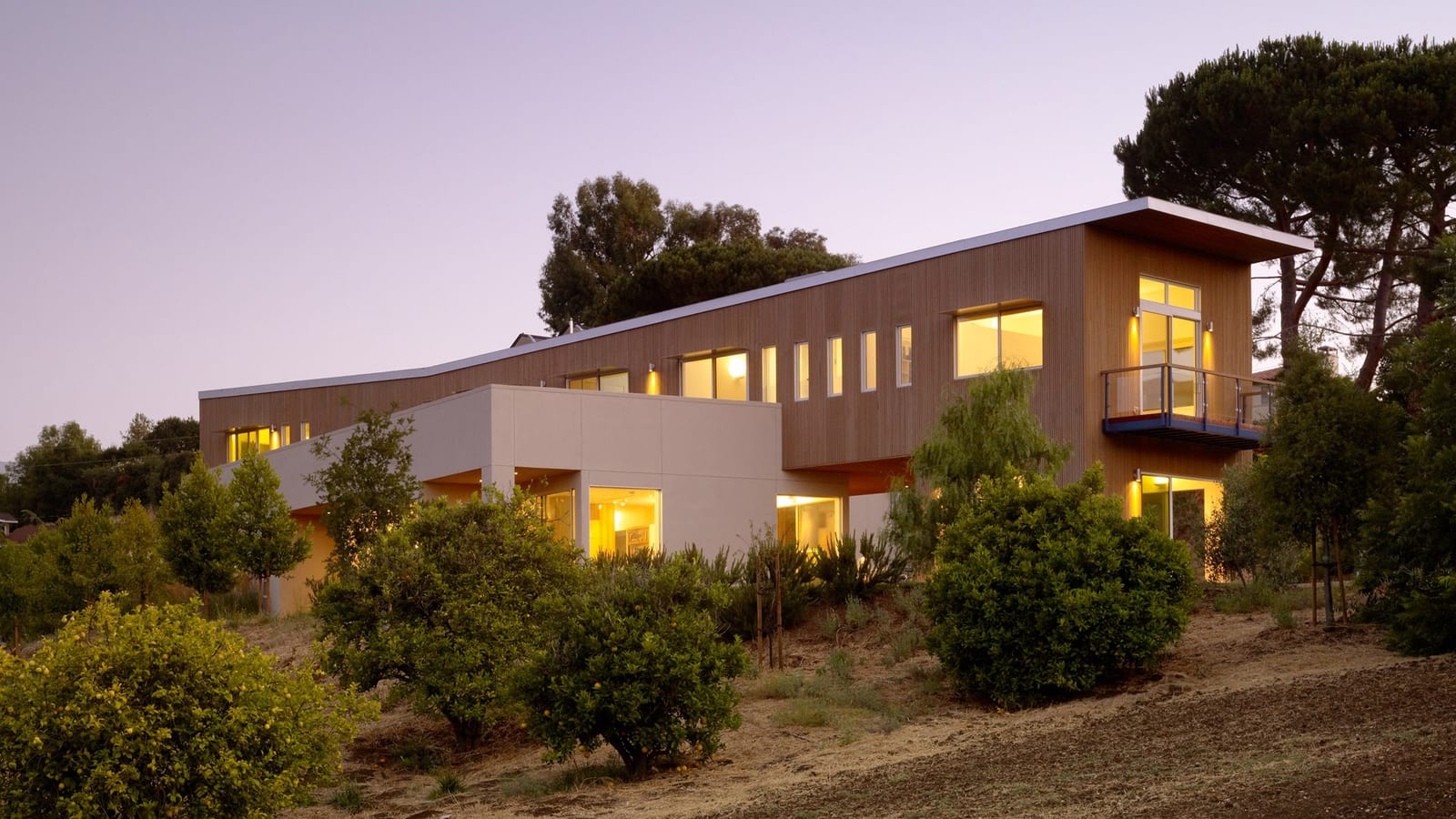 Projects | Cass Calder Smith