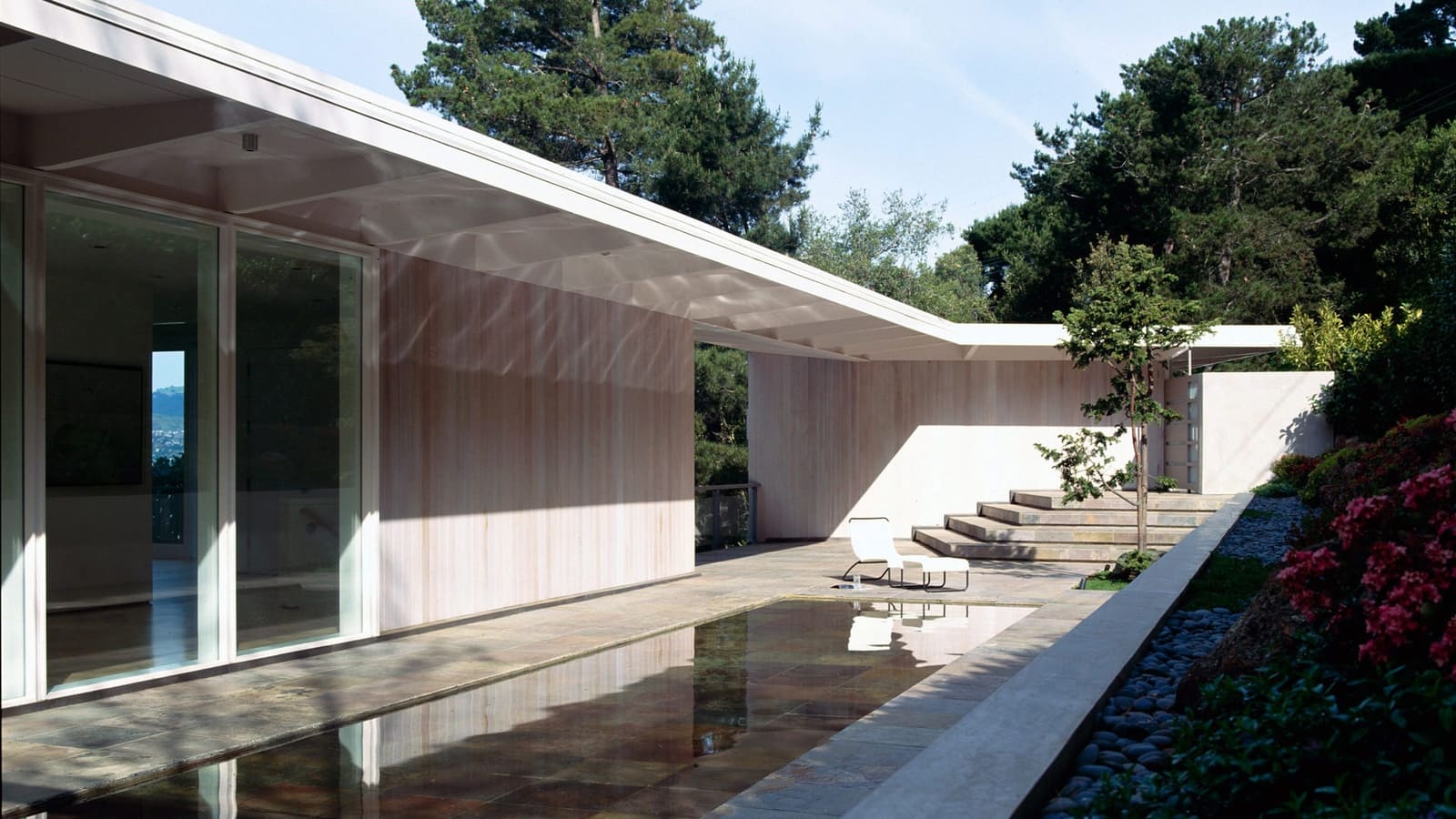 Projects | Cass Calder Smith