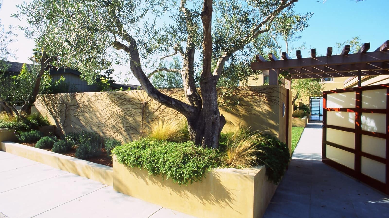 Studio | Cass Calder Smith