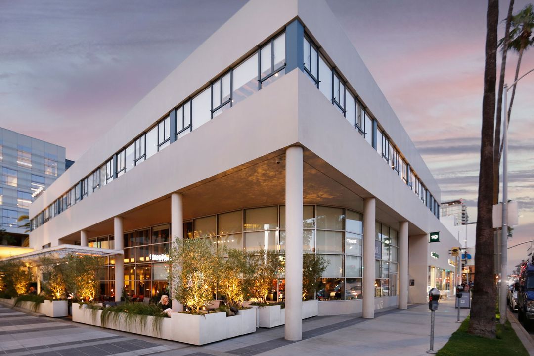 Magari | Restaurants | Cass Calder Smith